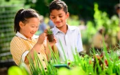 Carey Baptist Grammar School | Good Schools Guide