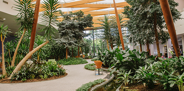 Study at University of Southern Queensland (UniSQ) | Study in Australia